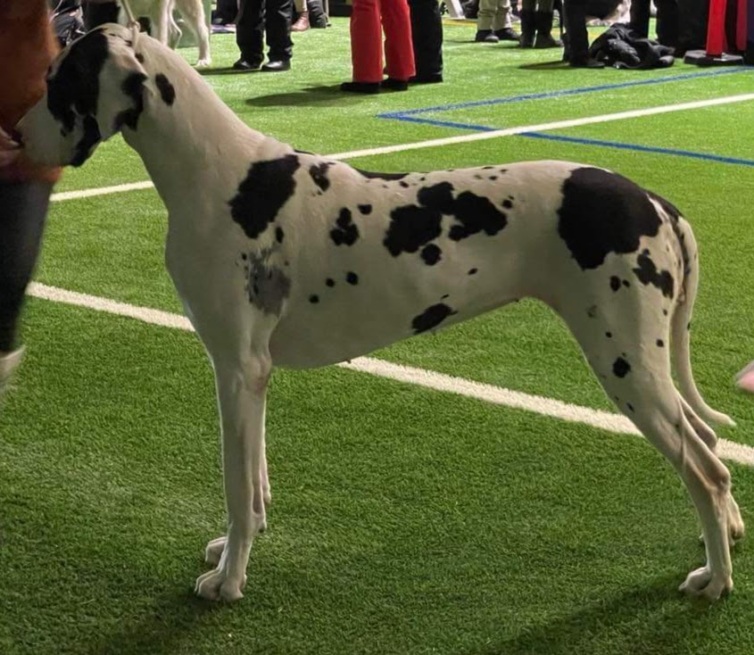 Pentue 2023 :: Rock Elements